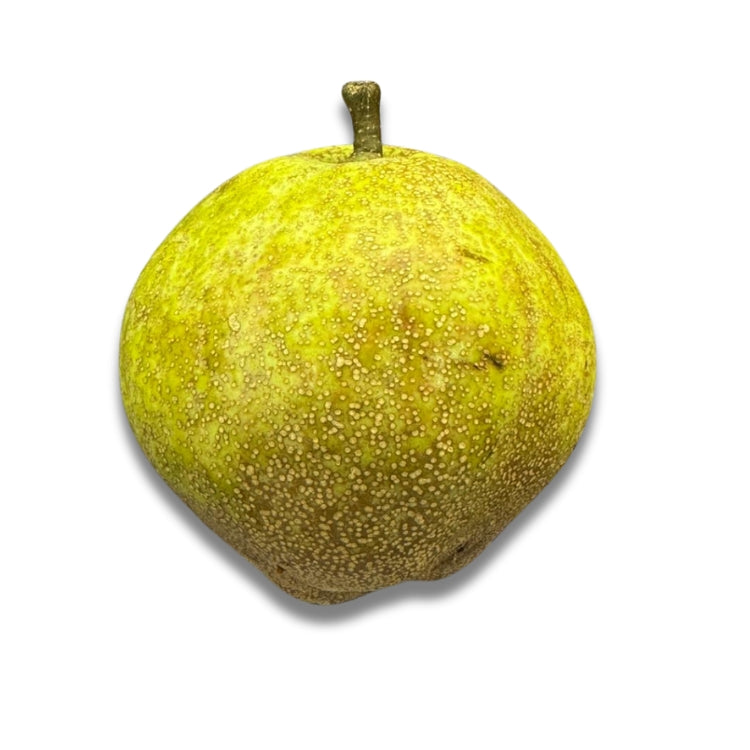 Pera Criolla por UND – Frutas Darwin